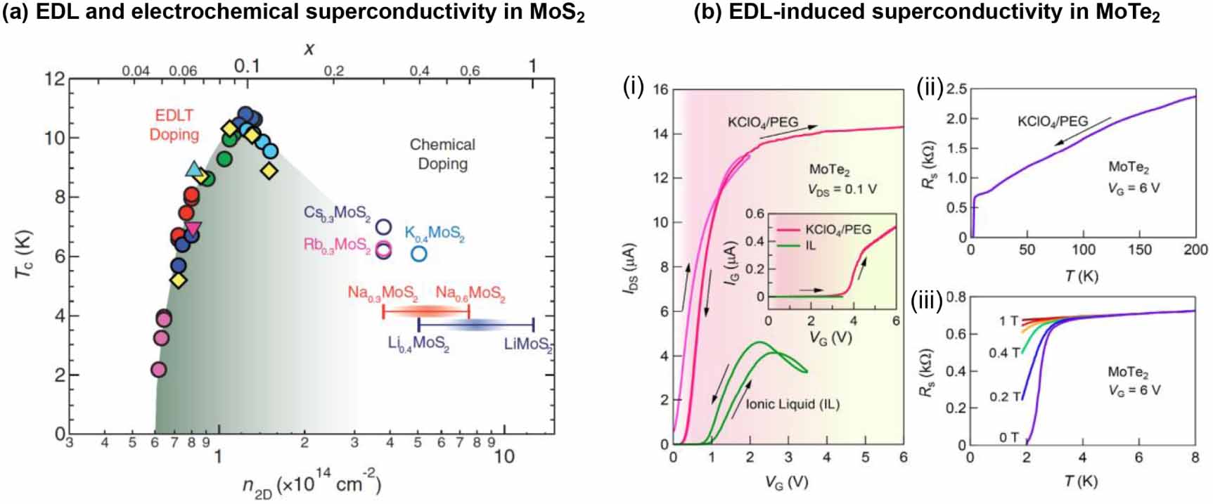Electric-double-layer-gated transistors based on two-dimensional ...