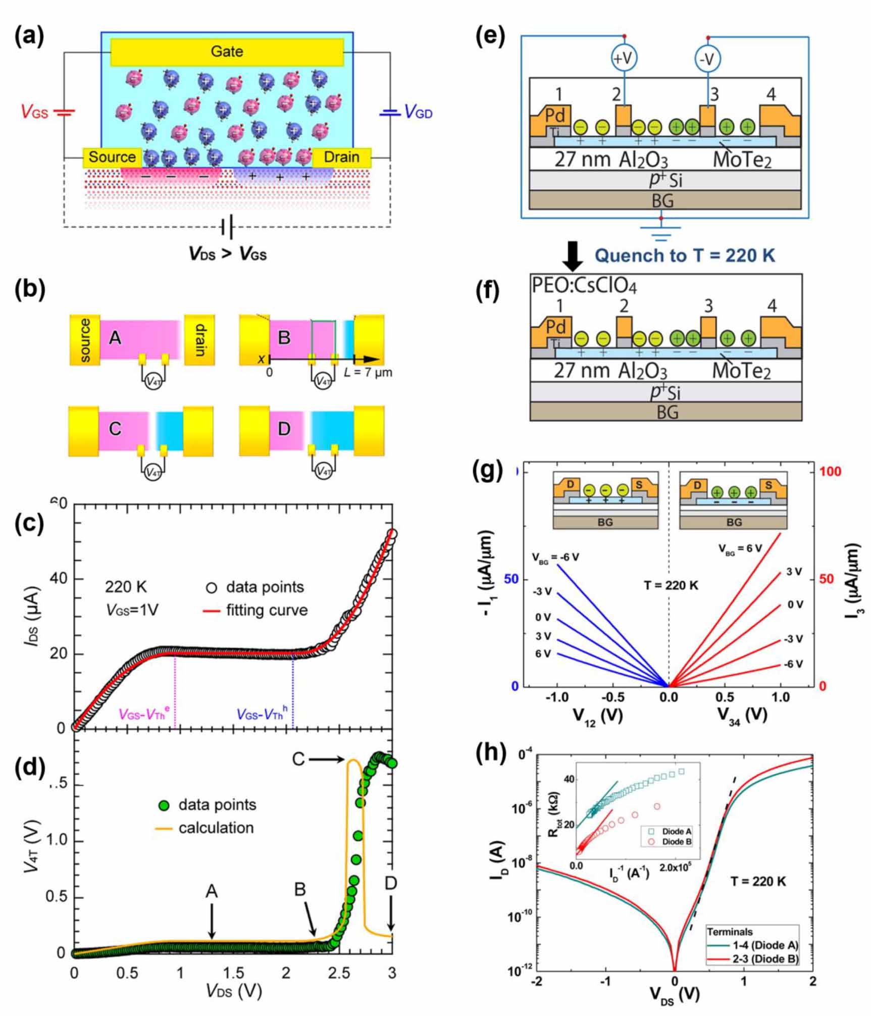 Electric-double-layer-gated transistors based on two-dimensional ...