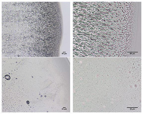 Interactions of different hydrocolloids with milk proteins - IOPscience