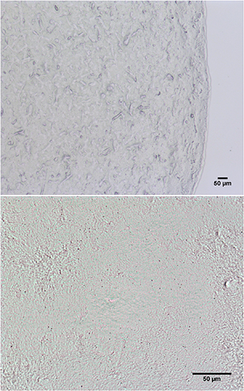 Interactions of different hydrocolloids with milk proteins - IOPscience