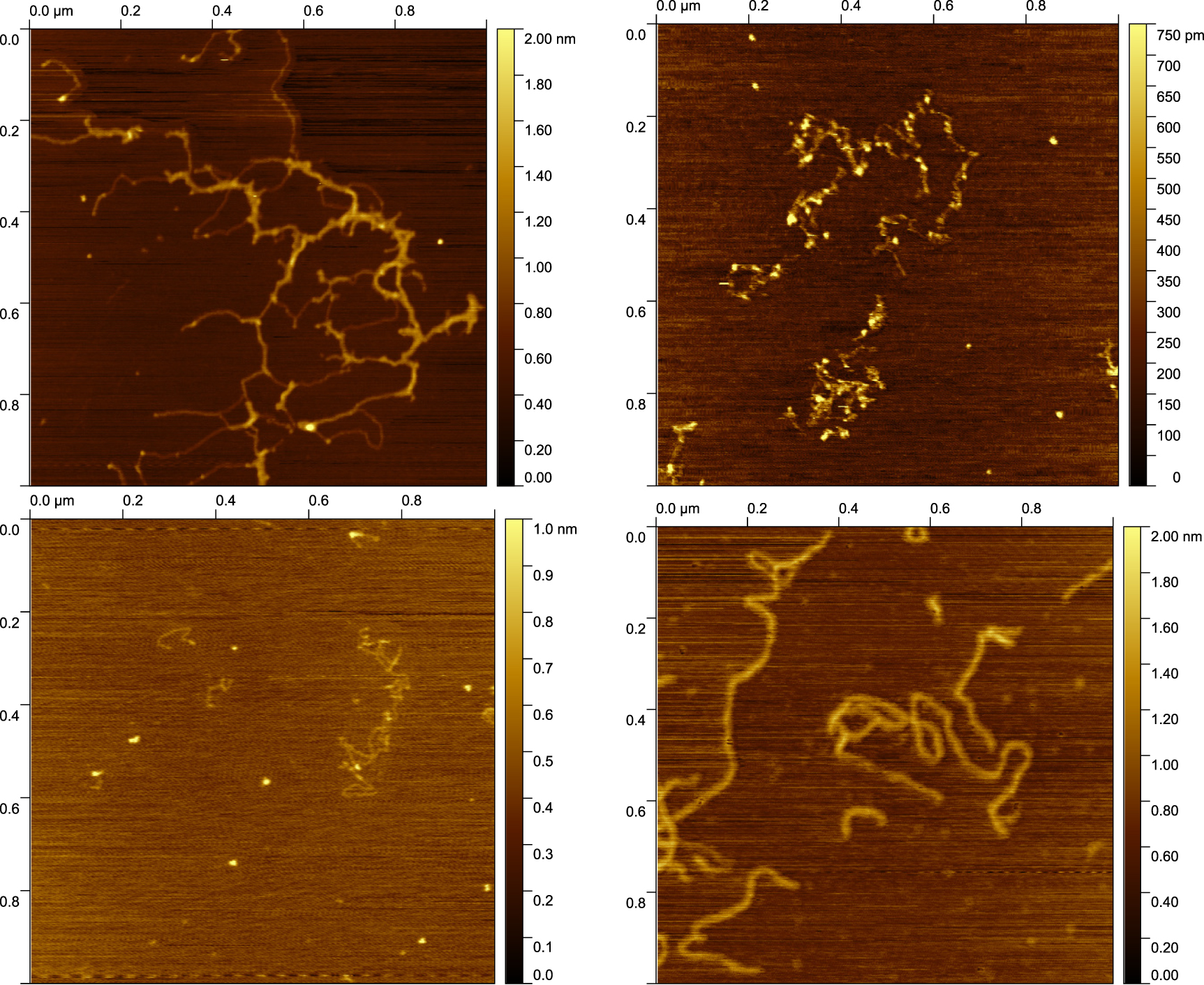 Interactions of different hydrocolloids with milk proteins - IOPscience