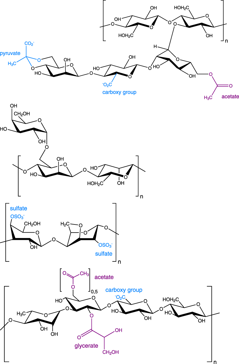 Interactions of different hydrocolloids with milk proteins - IOPscience