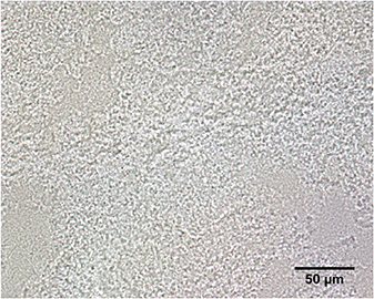 Interactions of different hydrocolloids with milk proteins - IOPscience