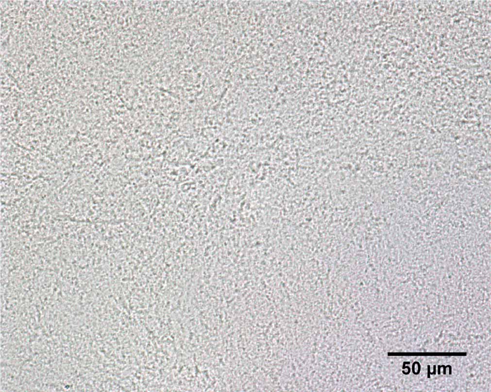 Interactions of different hydrocolloids with milk proteins - IOPscience