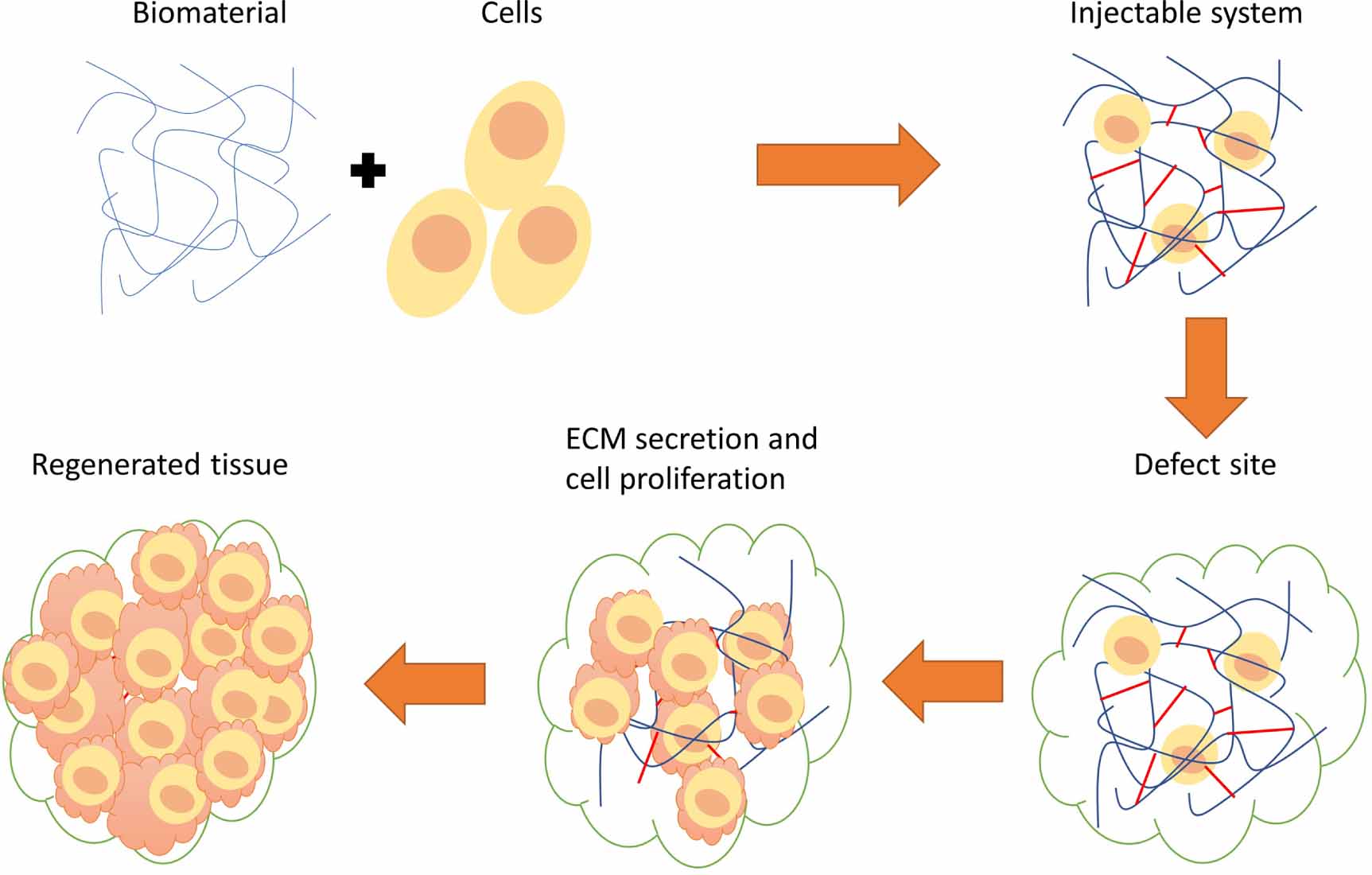 Injectable biomaterials as minimal invasive strategy towards soft ...