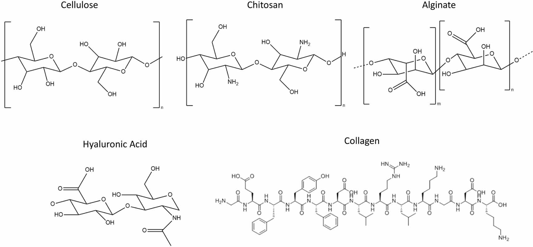 Injectable biomaterials as minimal invasive strategy towards soft ...