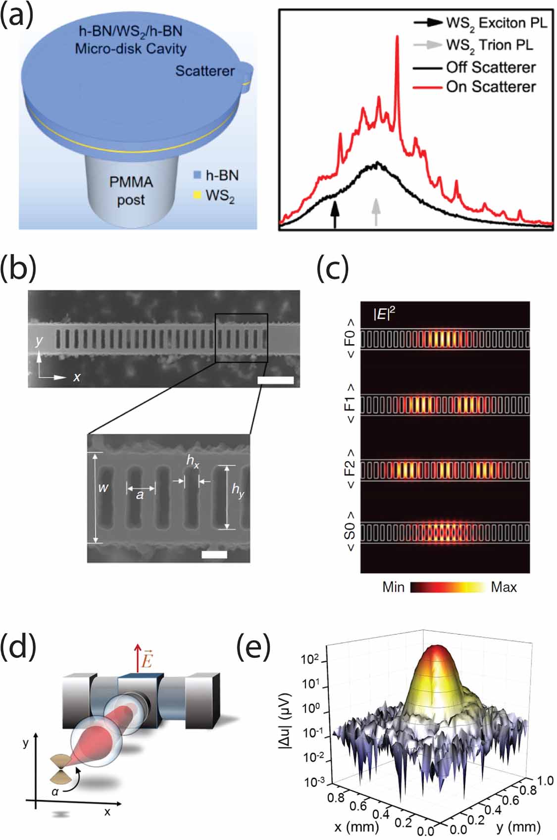 Turn of the decade: versatility of 2D hexagonal boron nitride - IOPscience