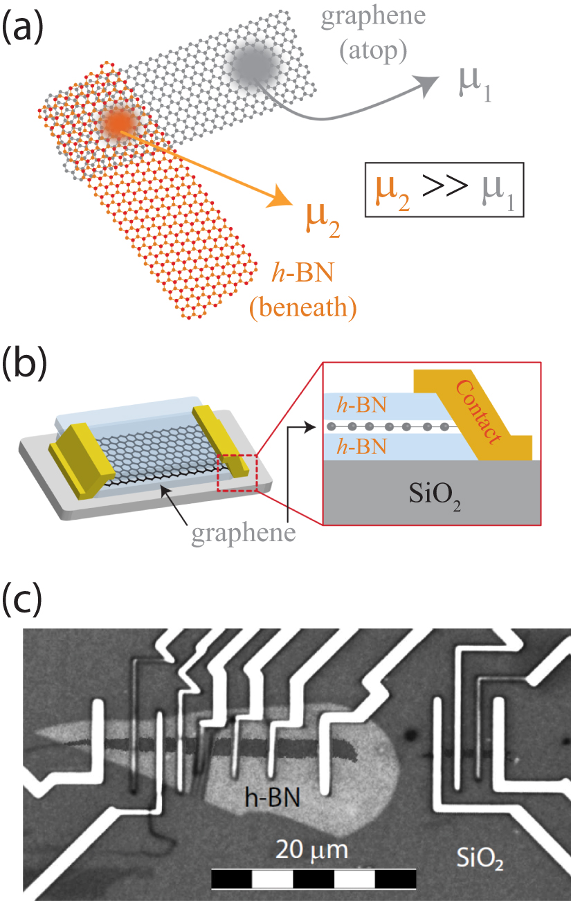 Turn of the decade: versatility of 2D hexagonal boron nitride - IOPscience