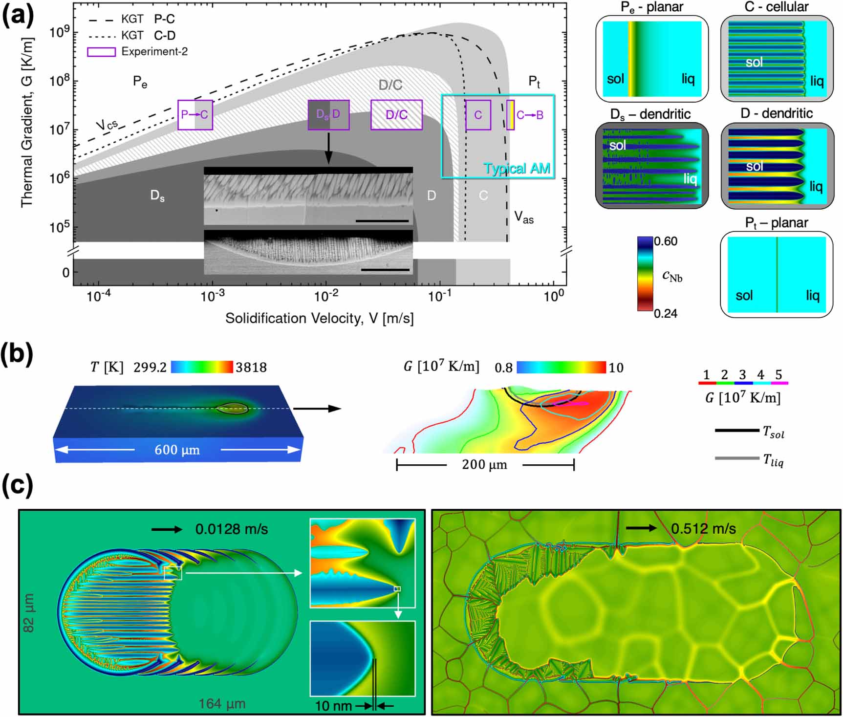 A mesoscopic digital twin that bridges length and time scales for ...
