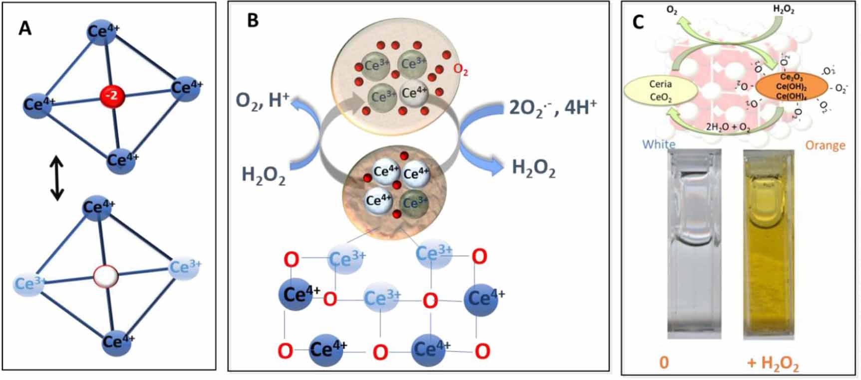 Ceria nanoparticle theranostics: harnessing antioxidant properties in ...