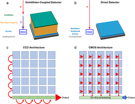 Direct detectors and their applications in electron microscopy for ...