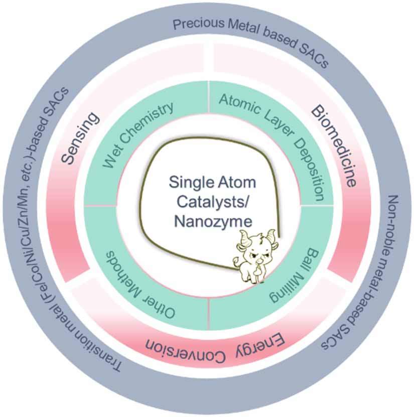 Burgeoning single atoms as new types of nanozymes and electrocatalysts ...