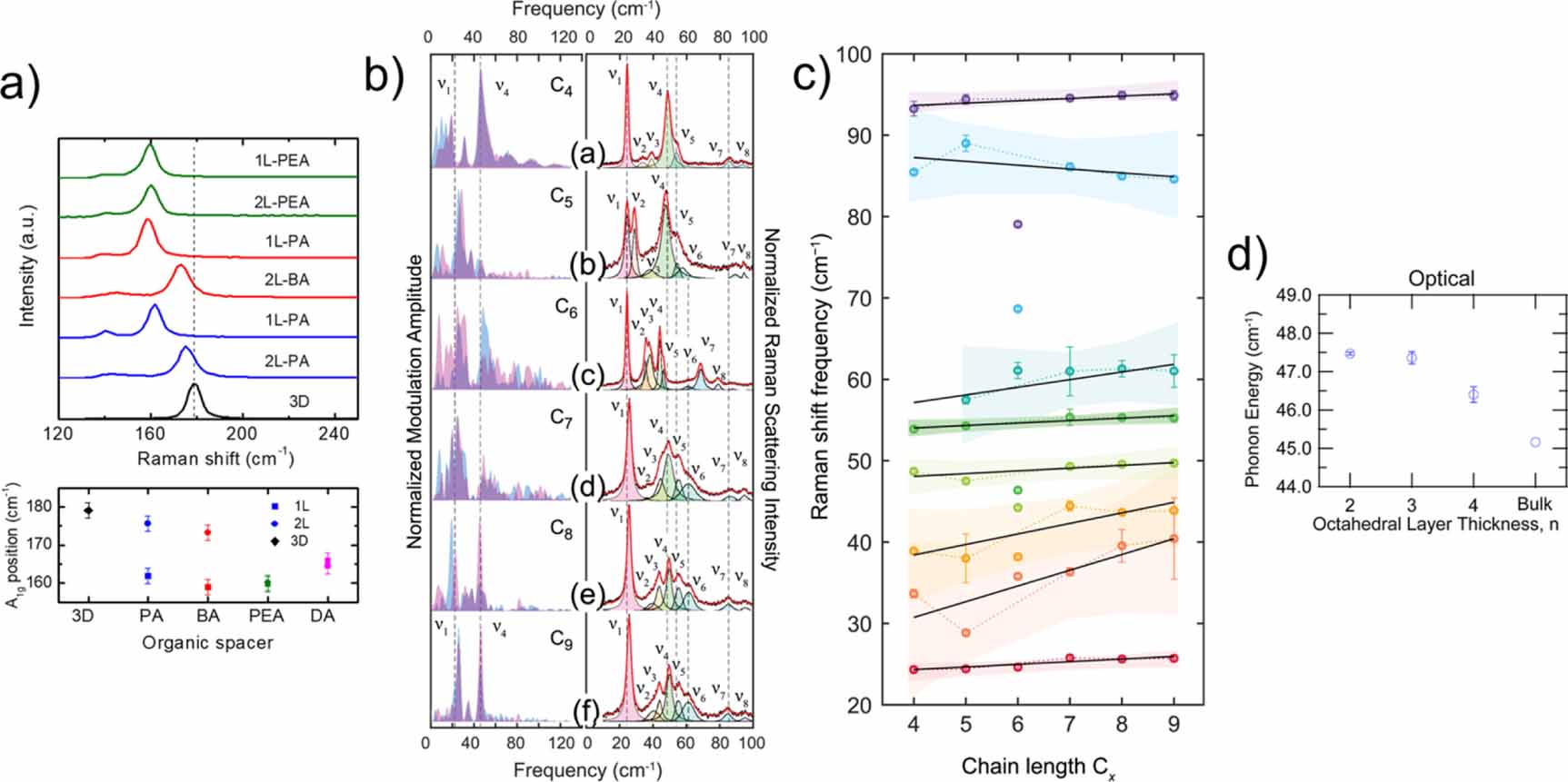 Raman spectroscopy in layered hybrid organic-inorganic metal halide ...