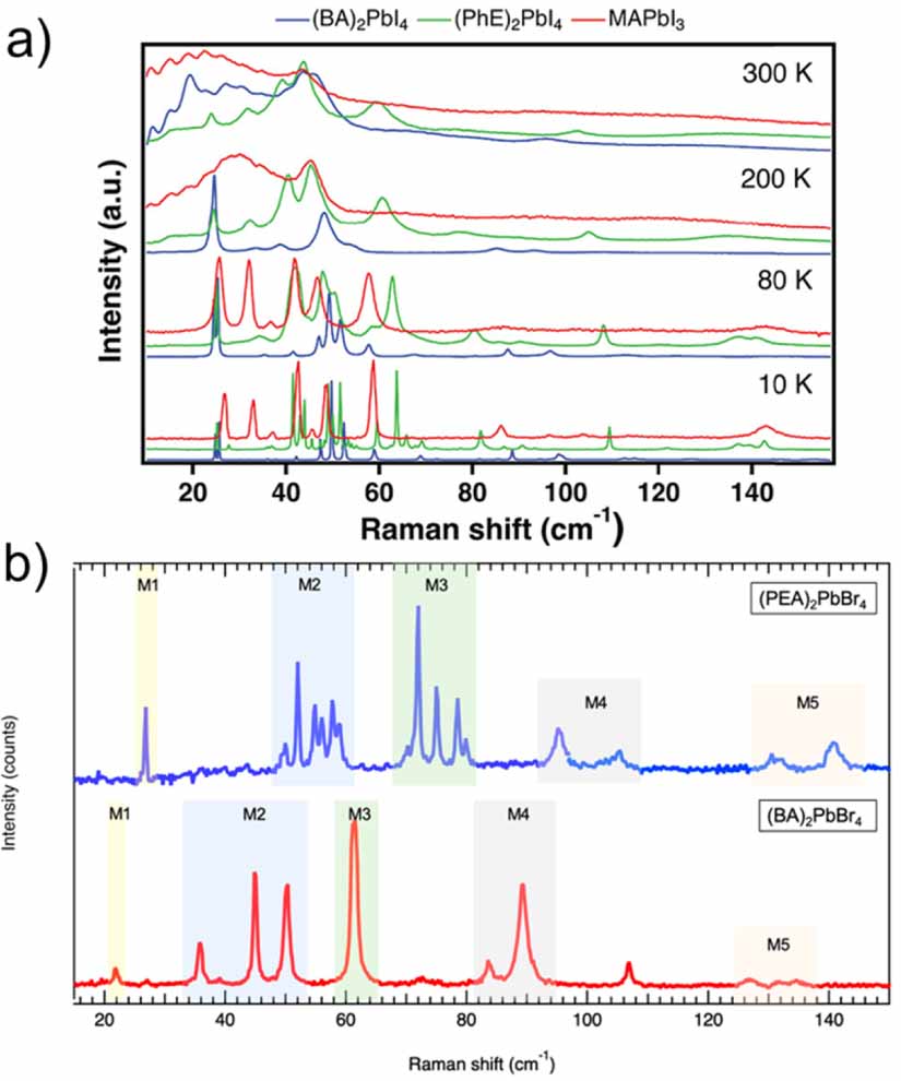 Raman spectroscopy in layered hybrid organic-inorganic metal halide ...
