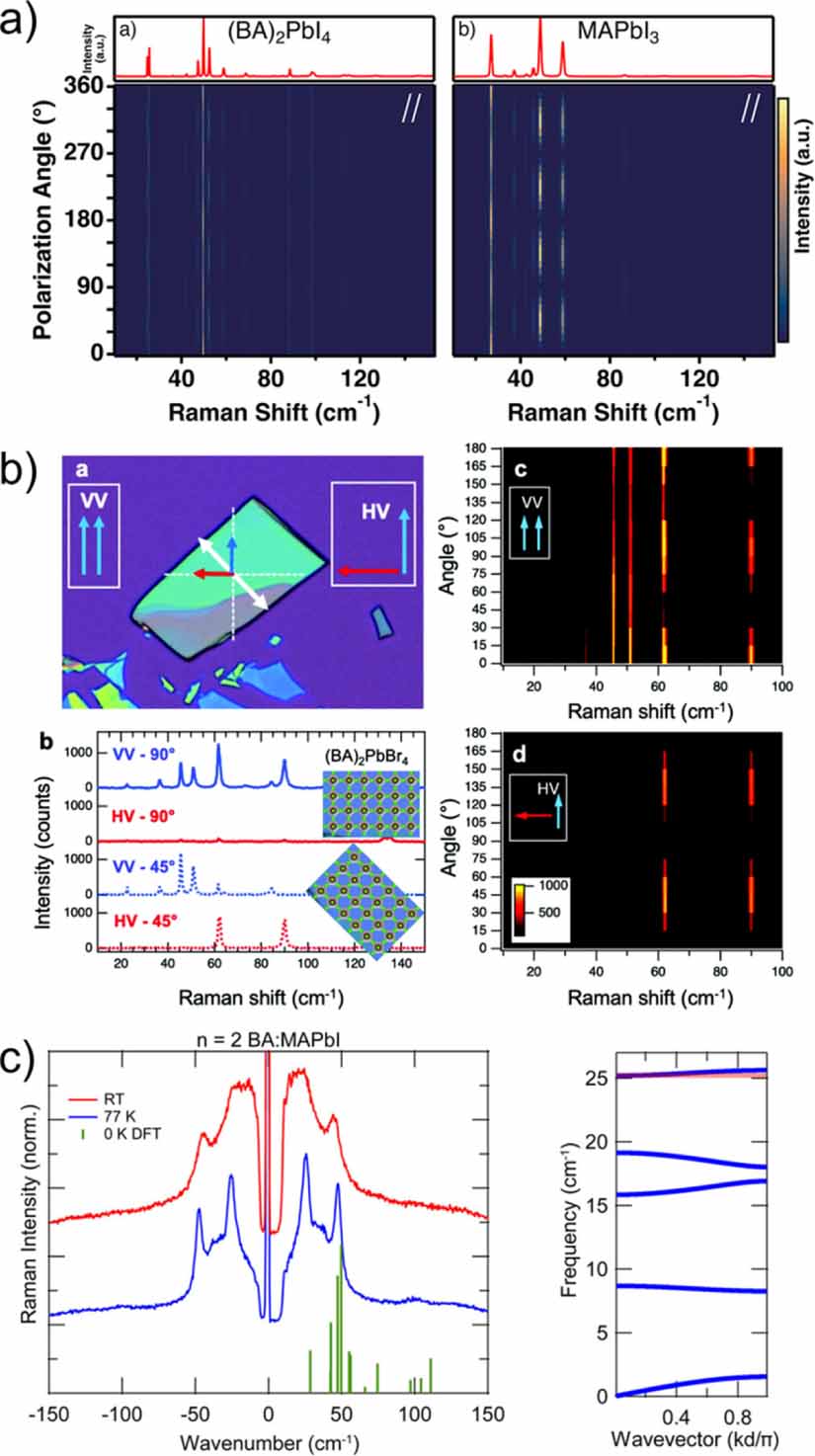 Raman spectroscopy in layered hybrid organic-inorganic metal halide ...
