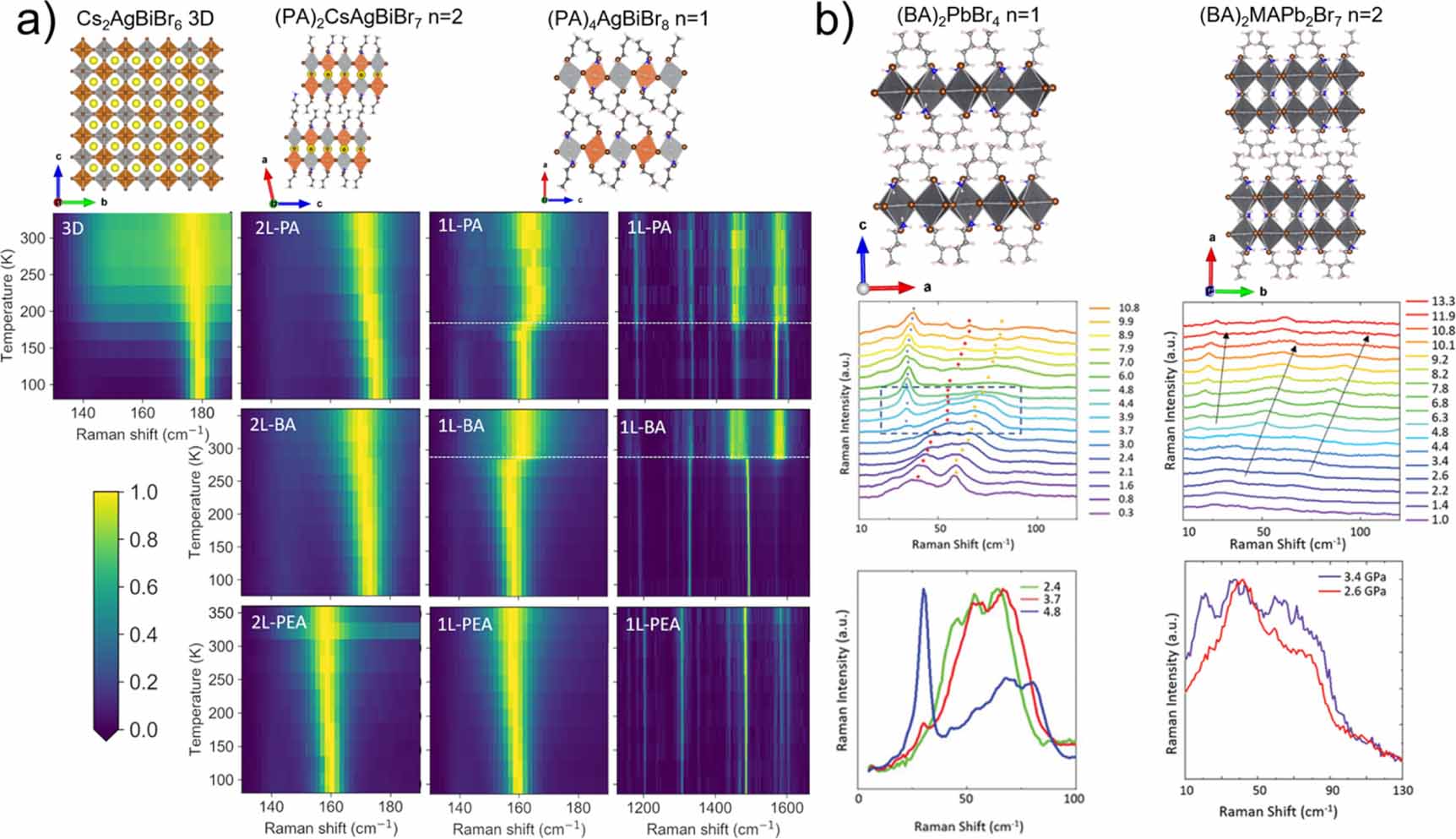 Raman spectroscopy in layered hybrid organic-inorganic metal halide ...