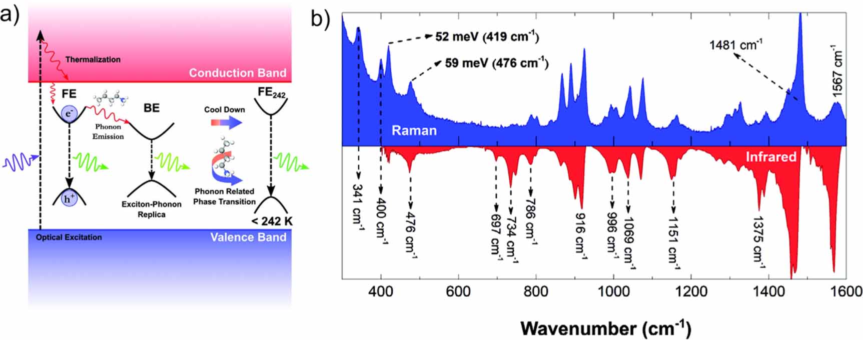 Raman spectroscopy in layered hybrid organic-inorganic metal halide ...