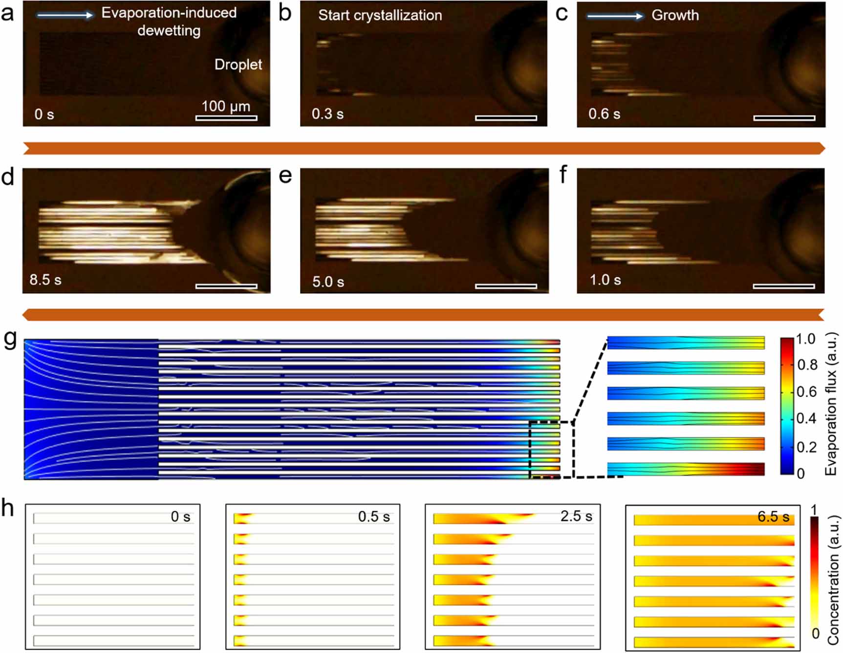 Patterning of organic semiconductor crystal arrays via microchannel ...