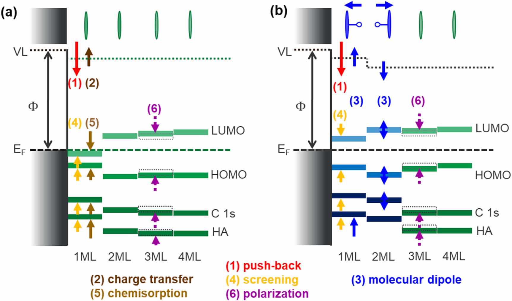 Advanced characterization of organic–metal and organic–organic ...