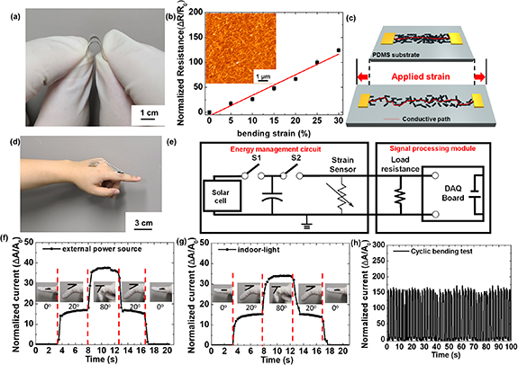 P3HT vs Spiro-OMeTAD as a hole transport layer for halide perovskite ...