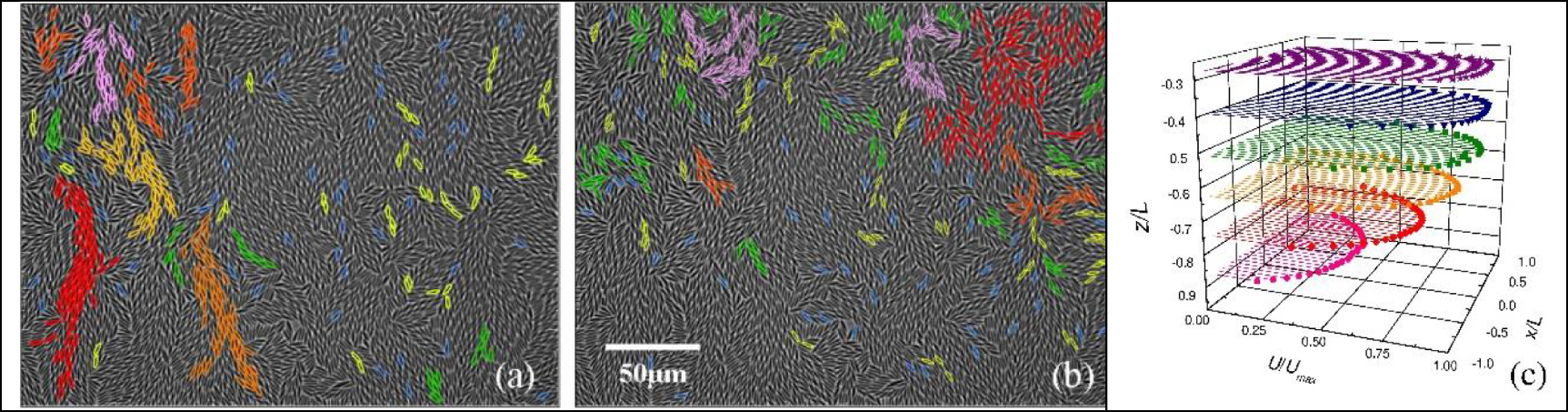 Soft matter roadmap - IOPscience