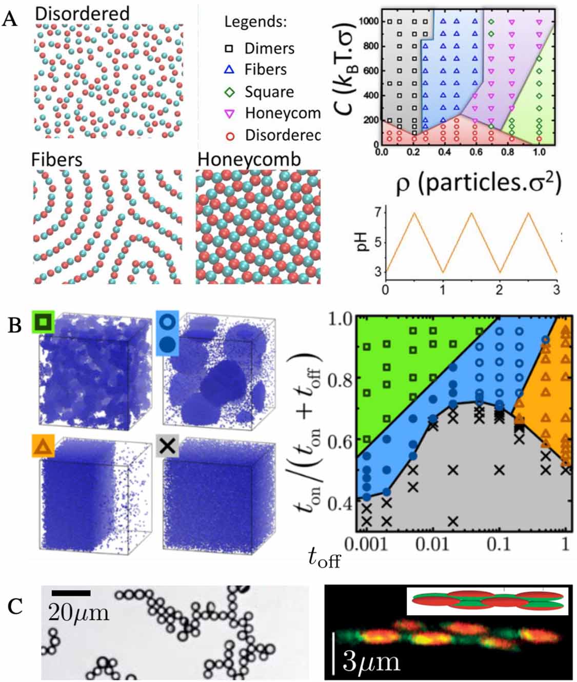 Soft matter roadmap - IOPscience
