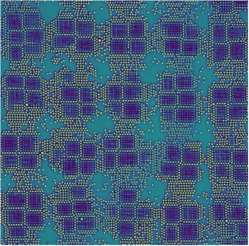 Soft matter roadmap - IOPscience