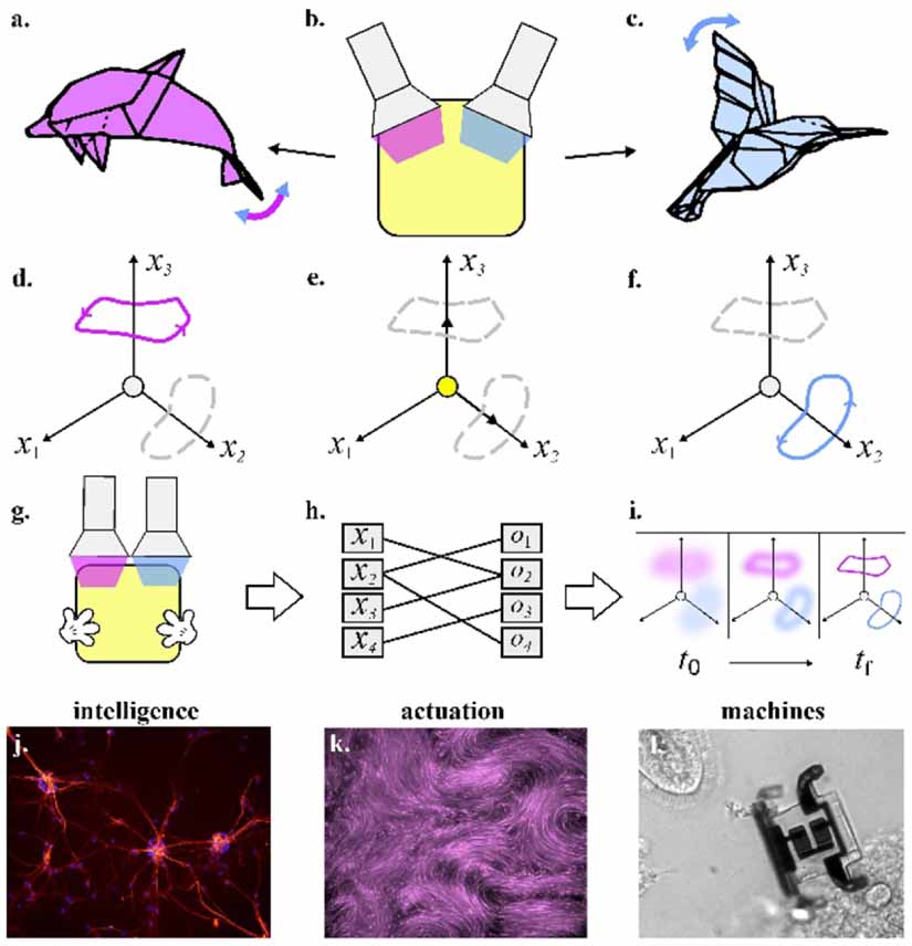 Soft matter roadmap - IOPscience