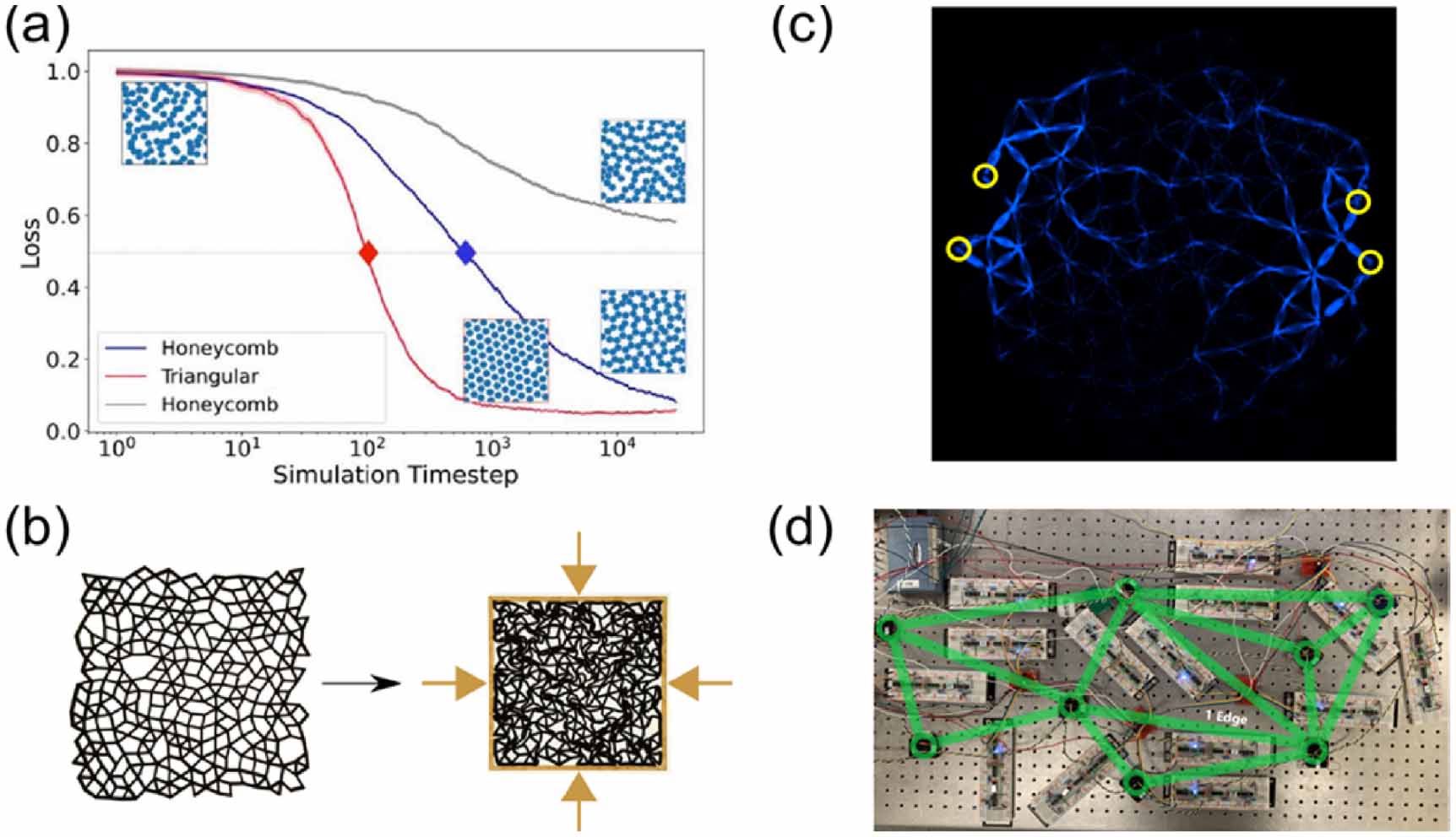 Soft matter roadmap - IOPscience