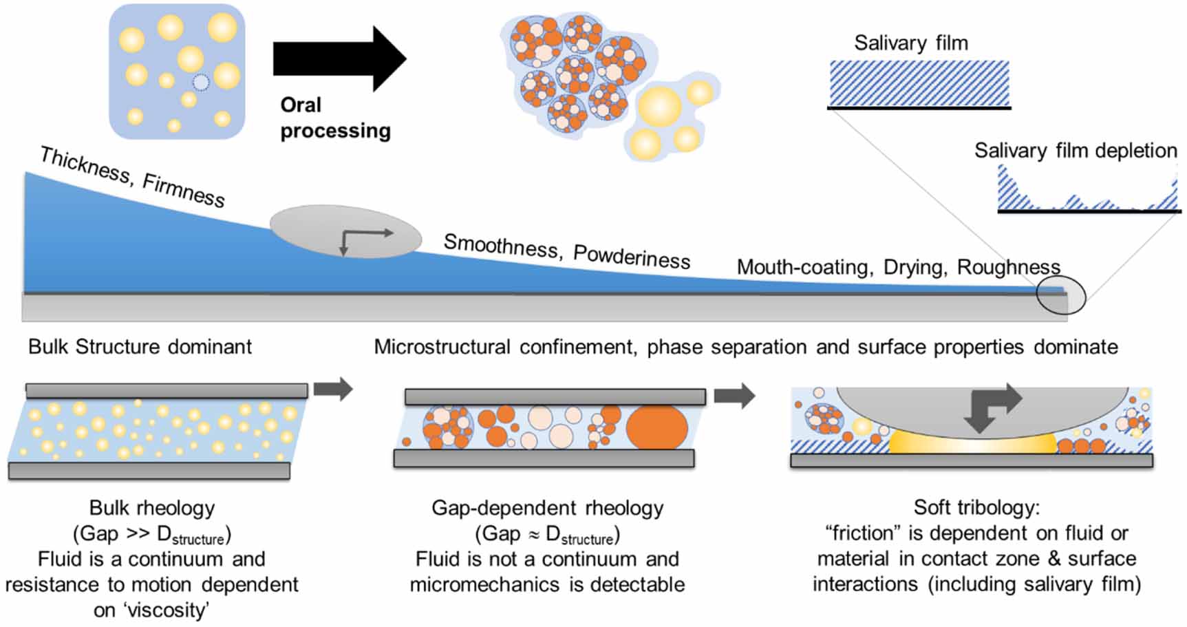Soft matter roadmap - IOPscience
