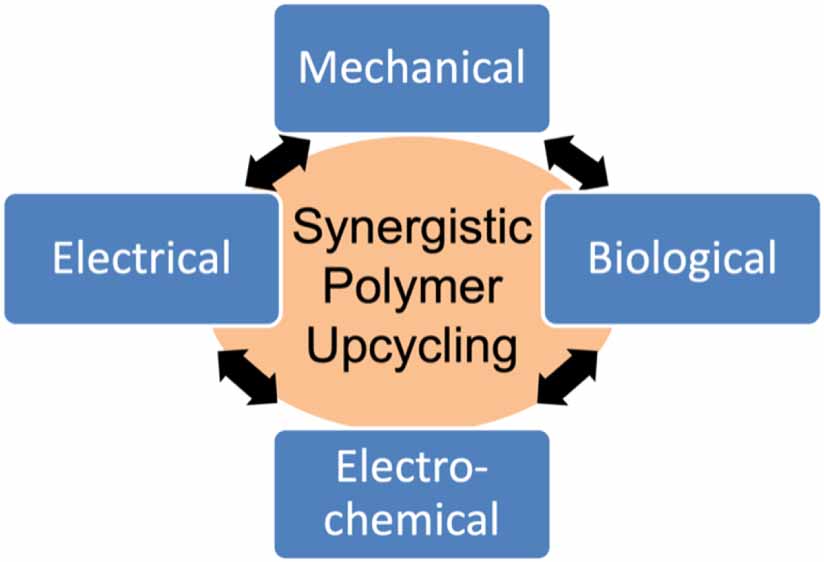 Soft matter roadmap - IOPscience