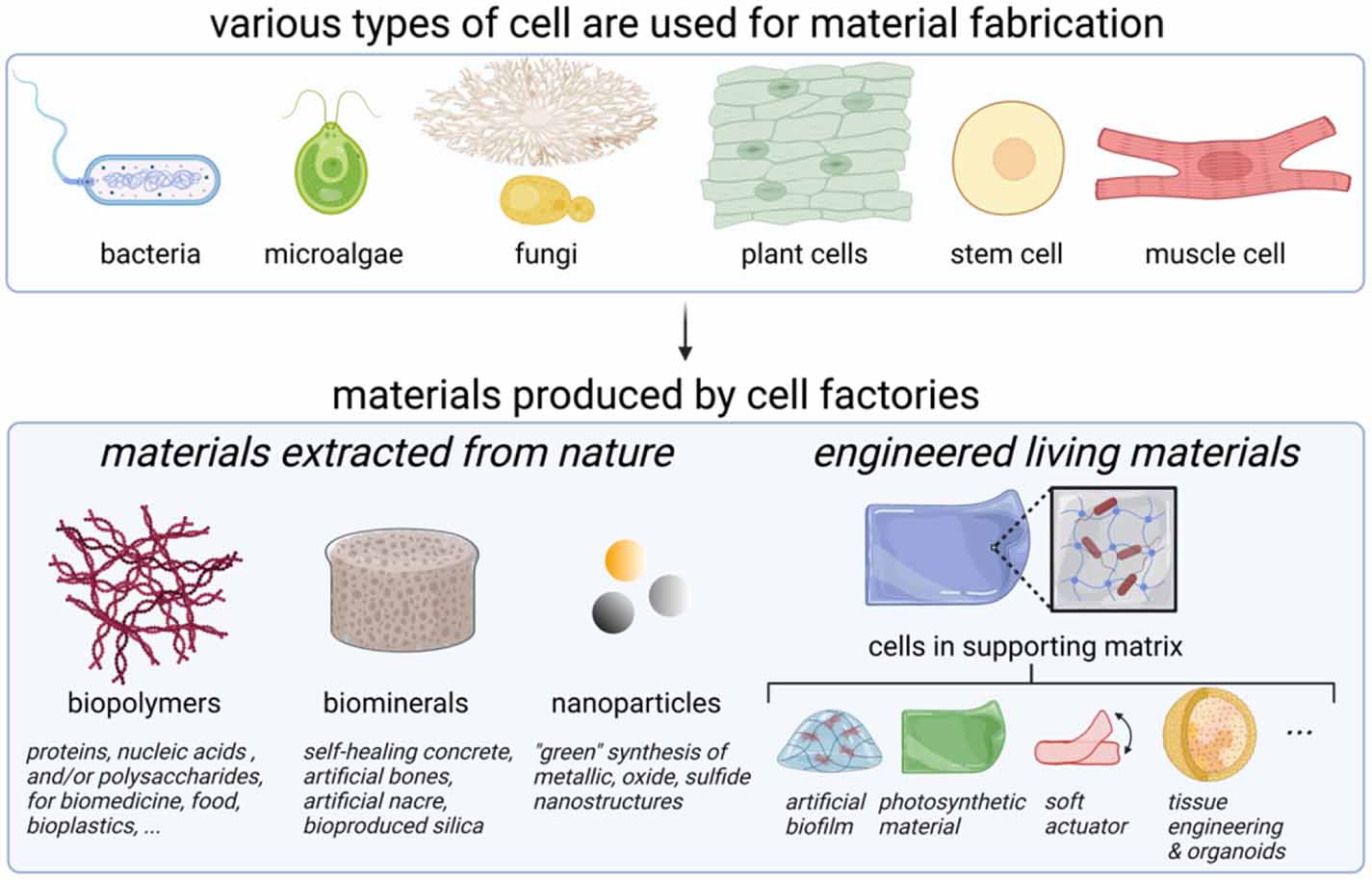 Soft matter roadmap - IOPscience