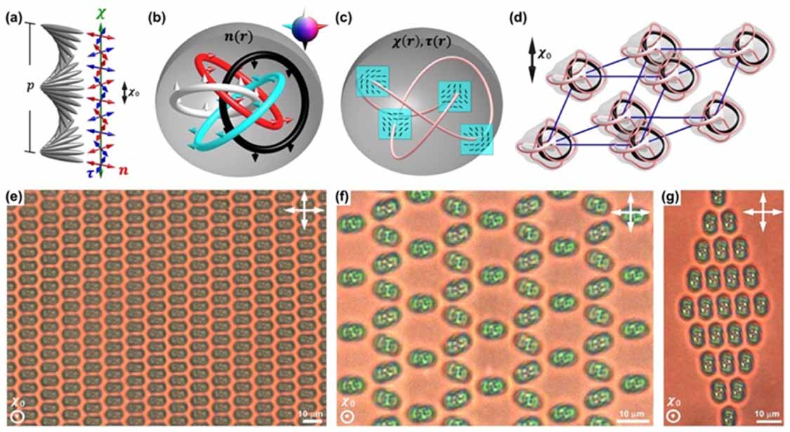 Soft matter roadmap - IOPscience