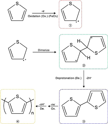 Enhanced doping and structure relaxation of unsubstituted polythiophene ...