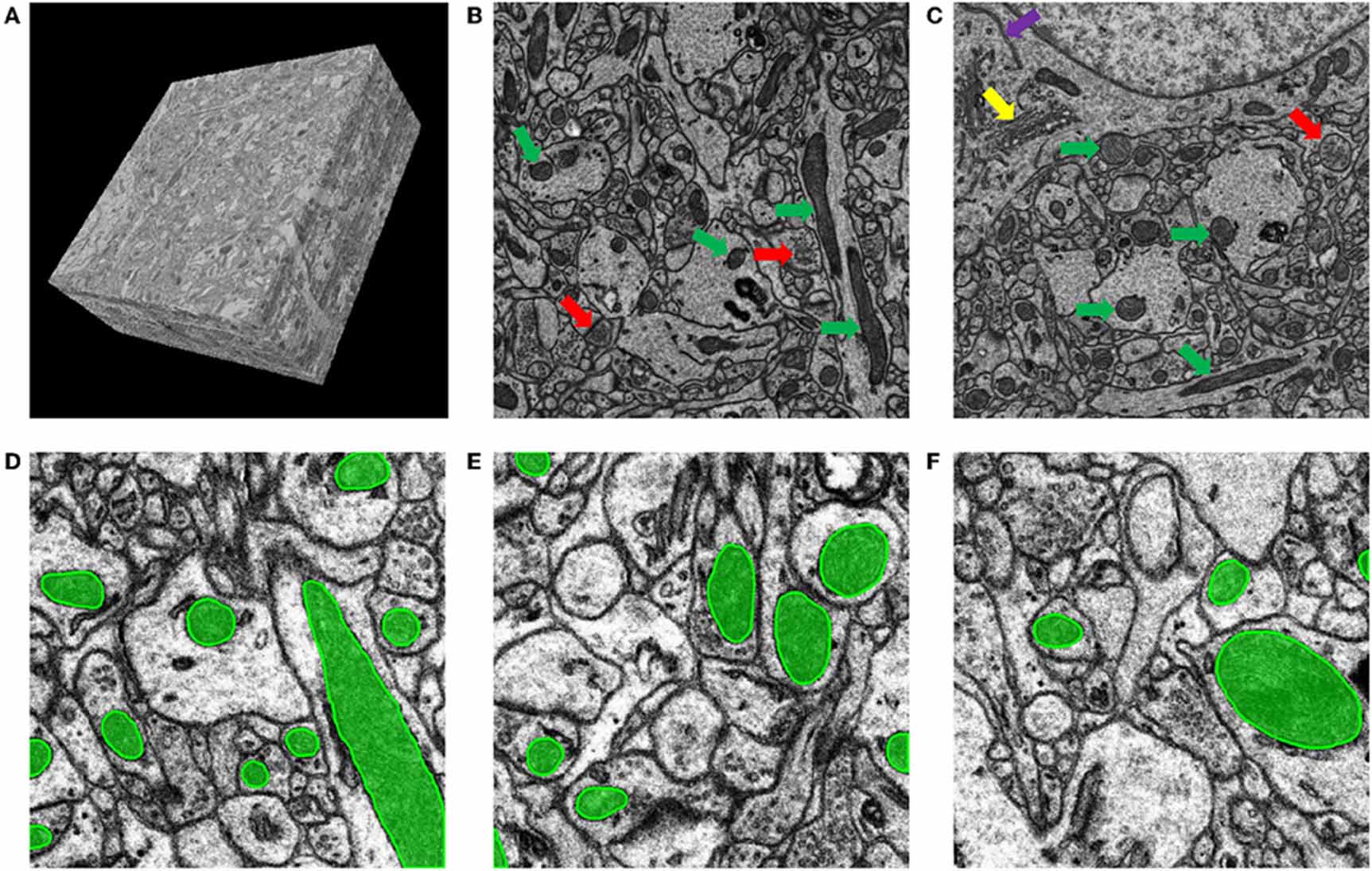 Advancing electron microscopy using deep learning - IOPscience