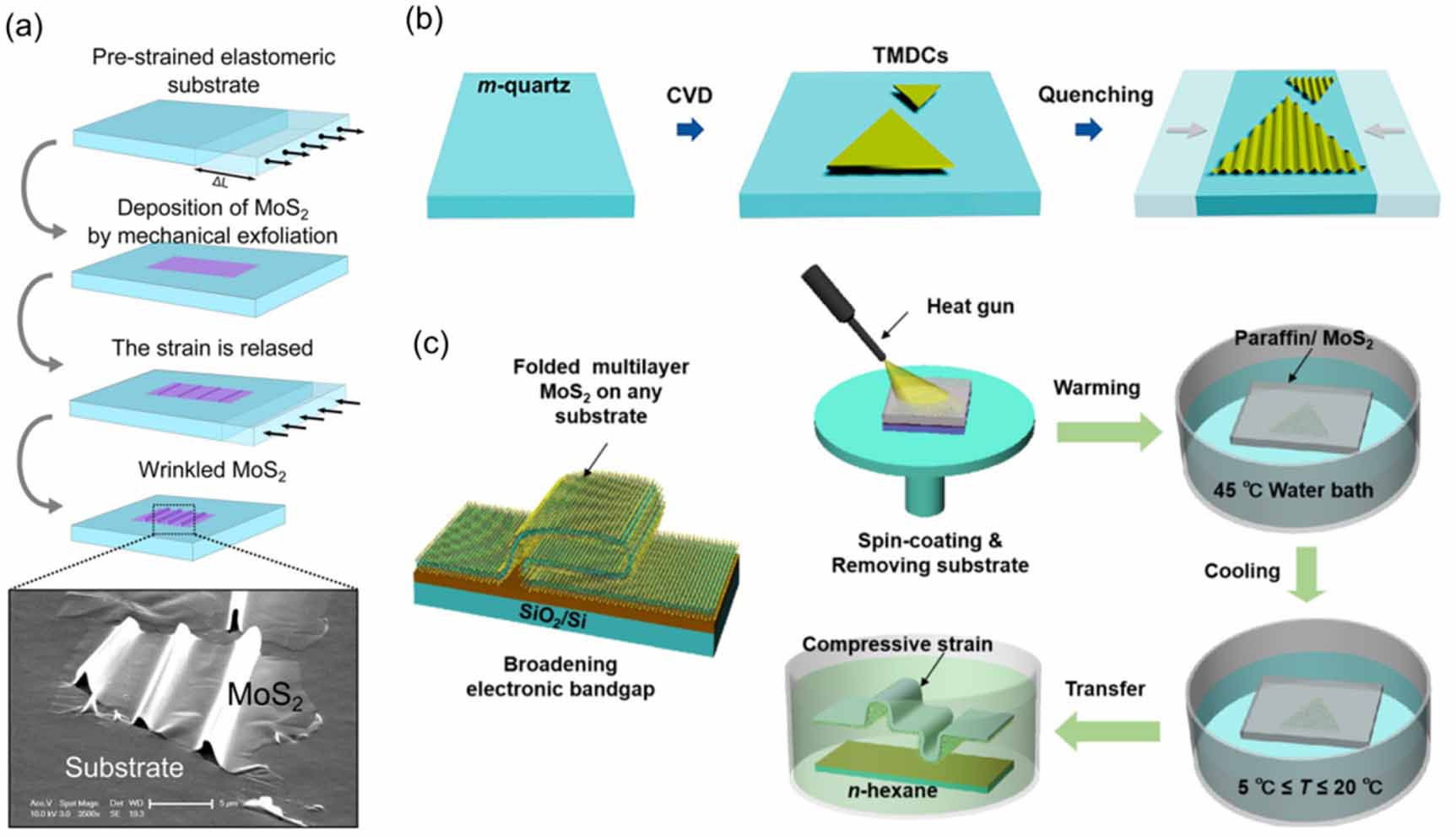 Advance in twisted transition metal dichalcogenides: synthesis ...