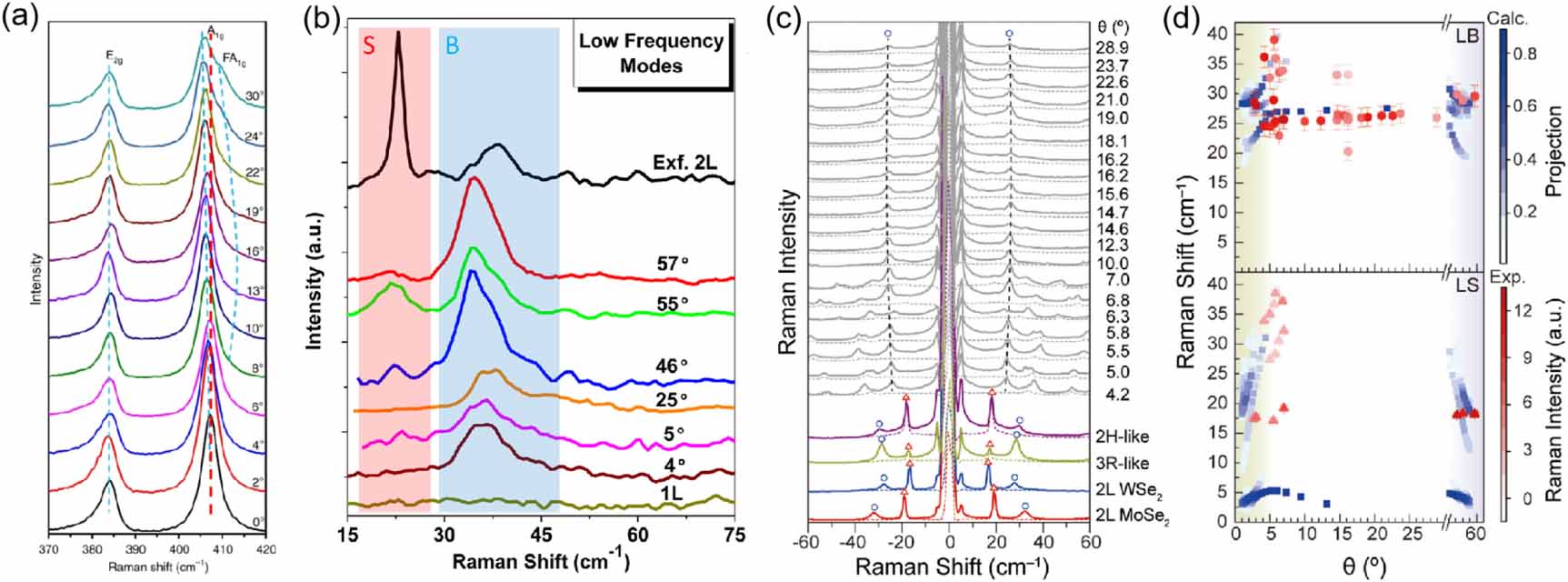 Advance in twisted transition metal dichalcogenides: synthesis ...