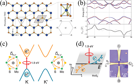 Valleytronics in two-dimensional magnetic materials - IOPscience