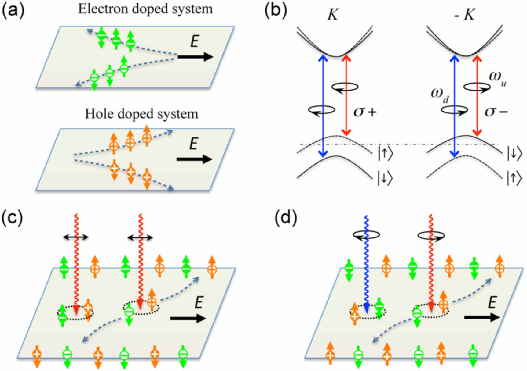 Valleytronics in two-dimensional magnetic materials - IOPscience
