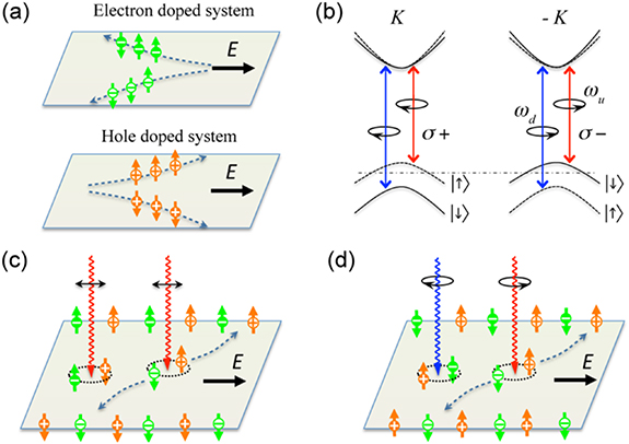 Valleytronics in two-dimensional magnetic materials - IOPscience