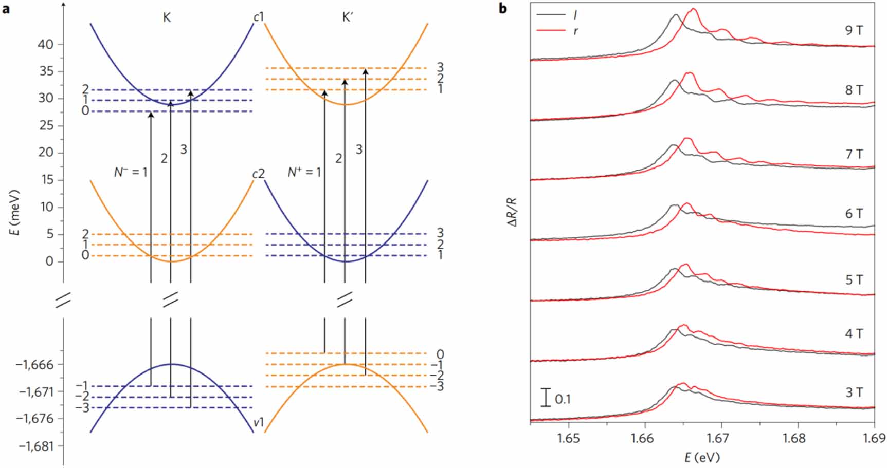 Valleytronics in two-dimensional magnetic materials - IOPscience