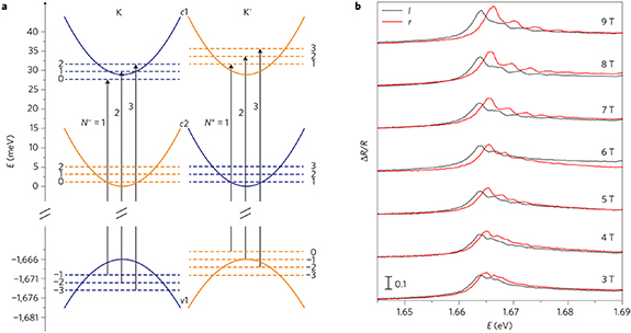 Valleytronics in two-dimensional magnetic materials - IOPscience