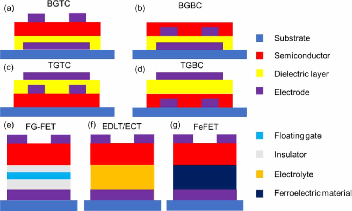 In-sensor neuromorphic computing using perovskites and transition metal ...