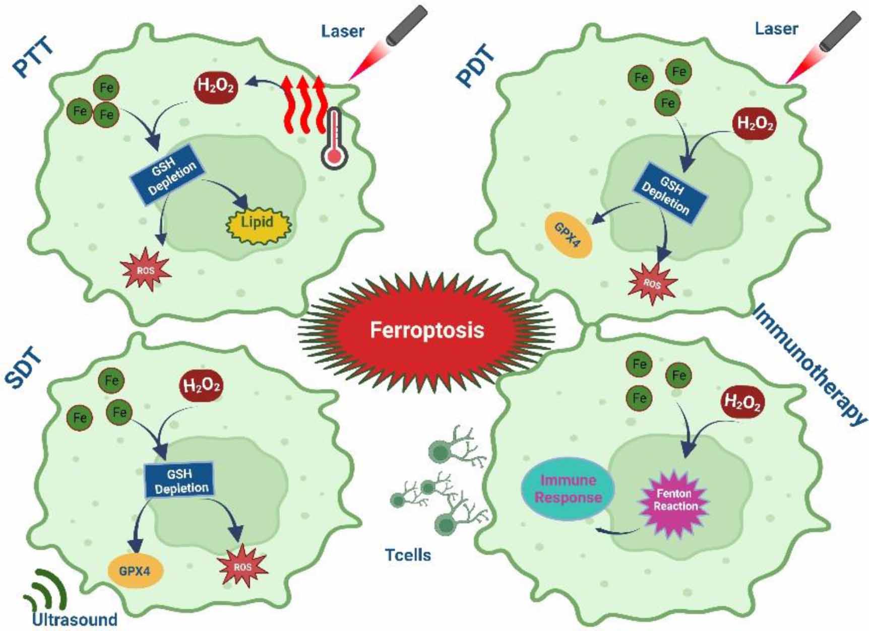 Inducing ferroptosis via nanomaterials: a novel and effective route in ...
