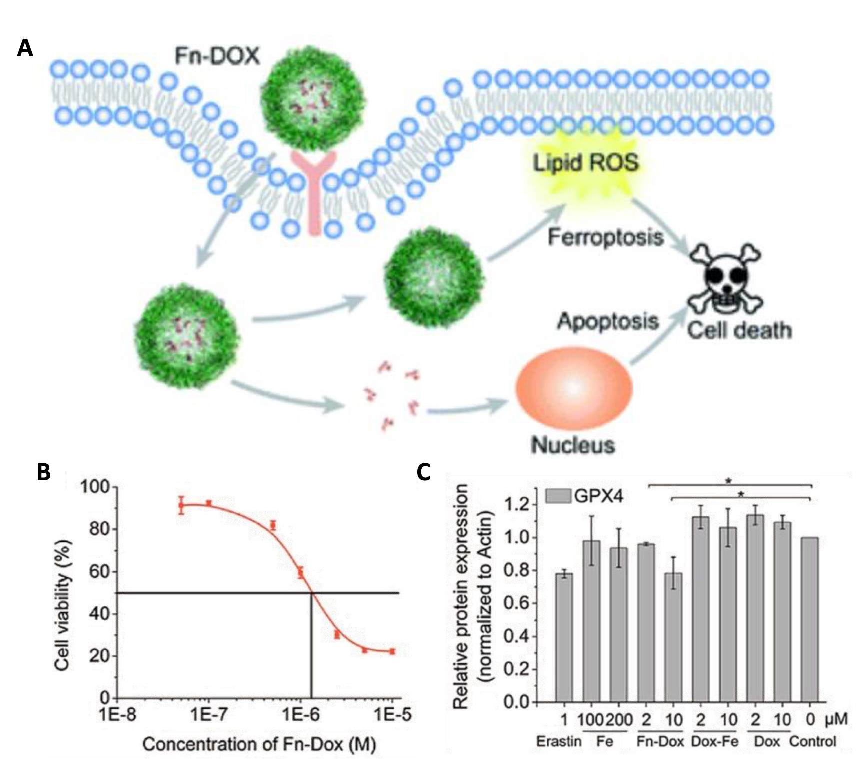 Inducing ferroptosis via nanomaterials: a novel and effective route in ...