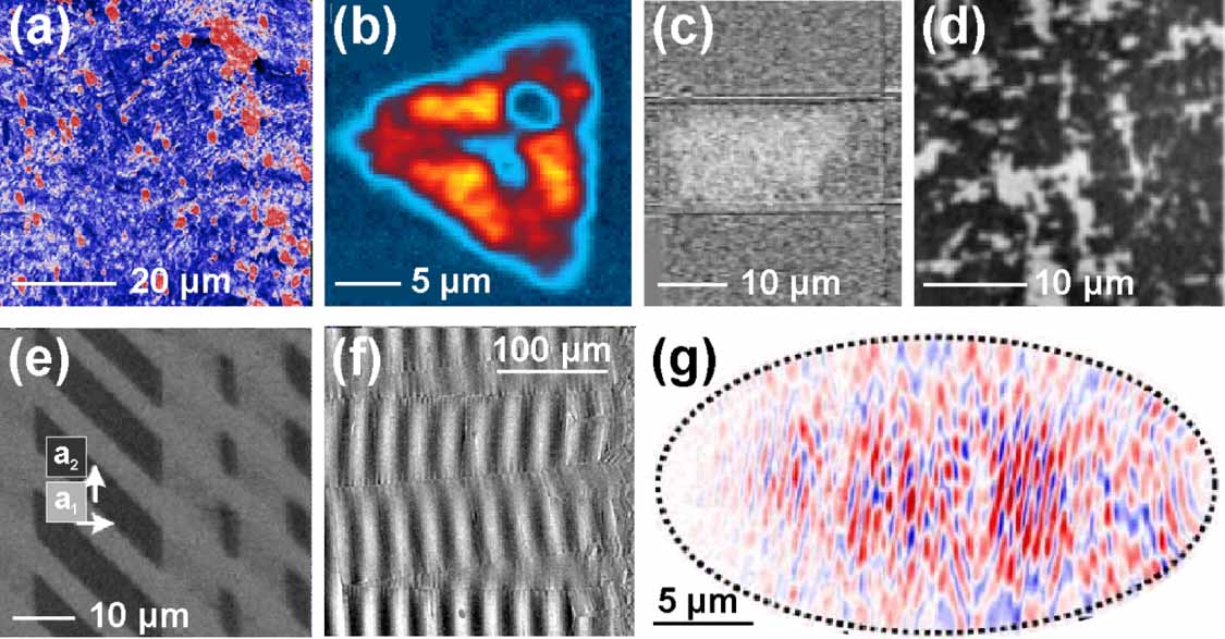 2024 roadmap on magnetic microscopy techniques and their applications ...