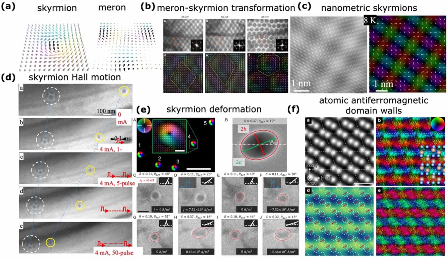 2024 roadmap on magnetic microscopy techniques and their applications ...