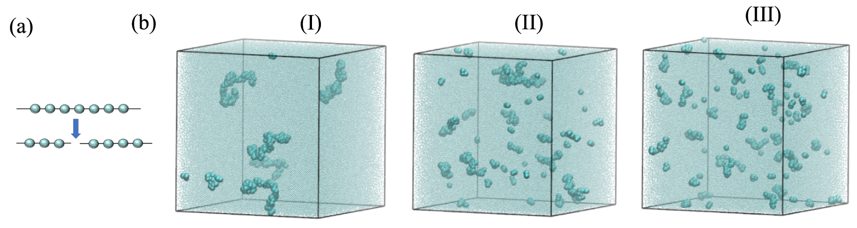 Mesoscale modeling of random chain scission in polyethylene melts ...