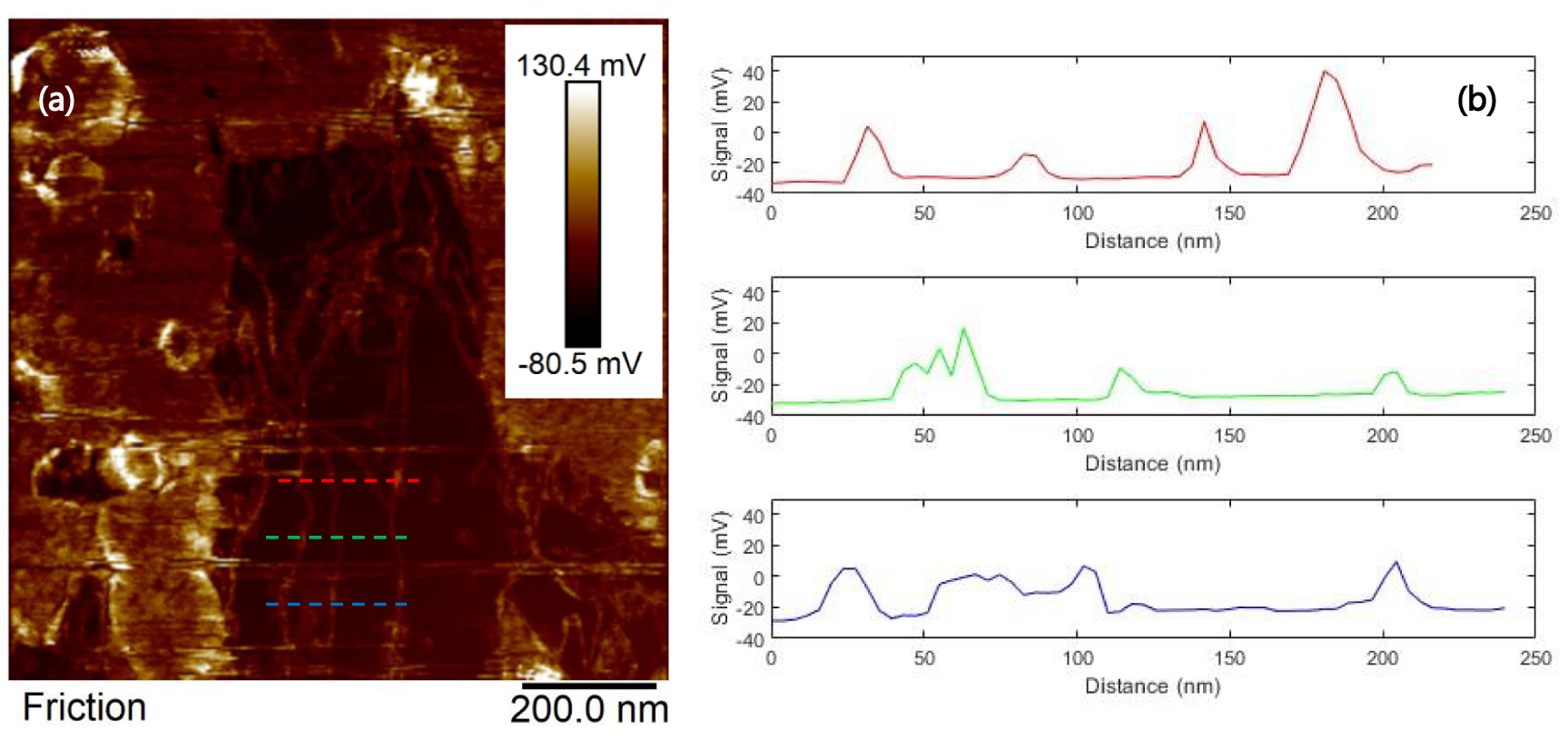 Tribological manufacturing of ZDDP tribofilms functionalised by ...