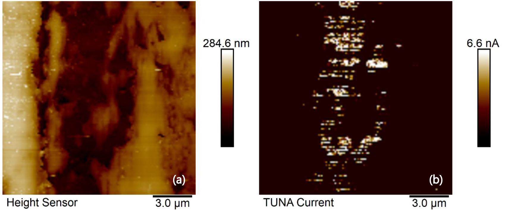 Tribological manufacturing of ZDDP tribofilms functionalised by ...
